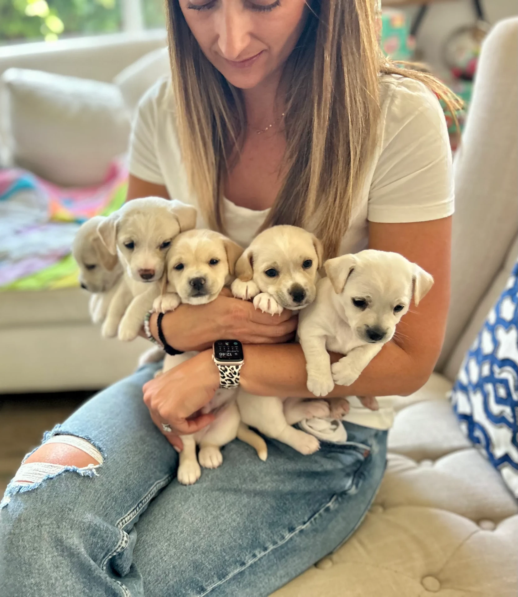 Soulmate Animal Rescue | San Diego Dog Rescue
